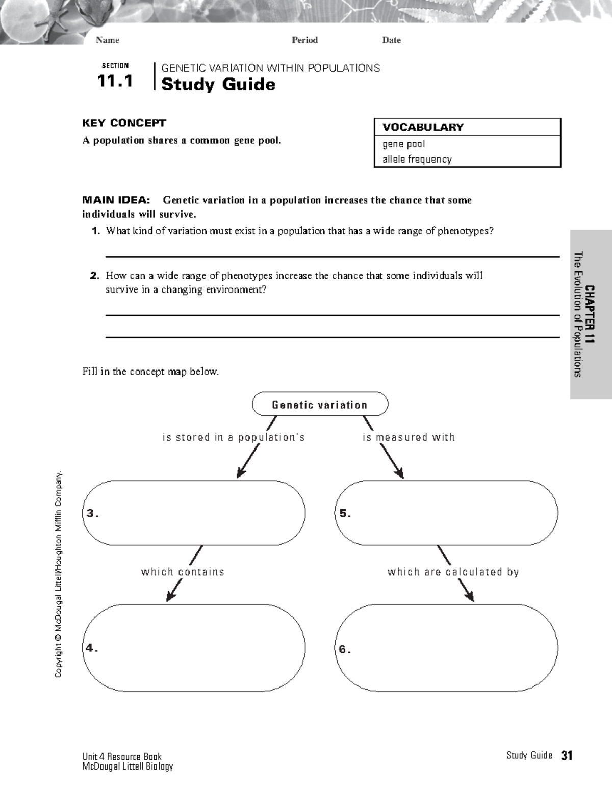 Population Genetics Worksheet: Genetic Variation and Evolution Study ...