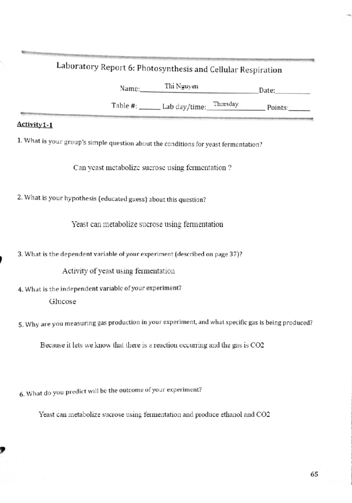 Lab Report 6: Yeast Fermentation and Photosynthesis Analysis - Studocu