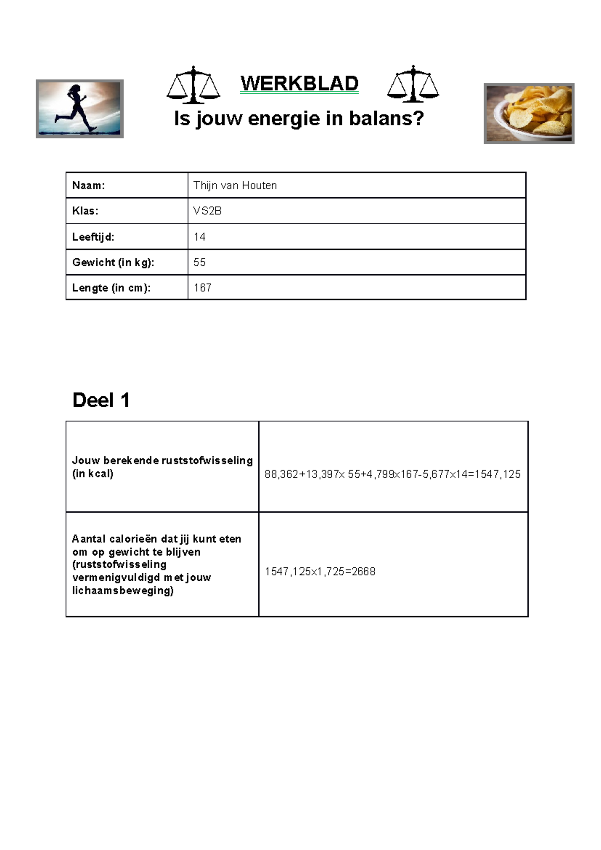Energiebalans opdracht LO - werkblad - vwo 2, vwo 3, mavo 3, havo 3 def ...