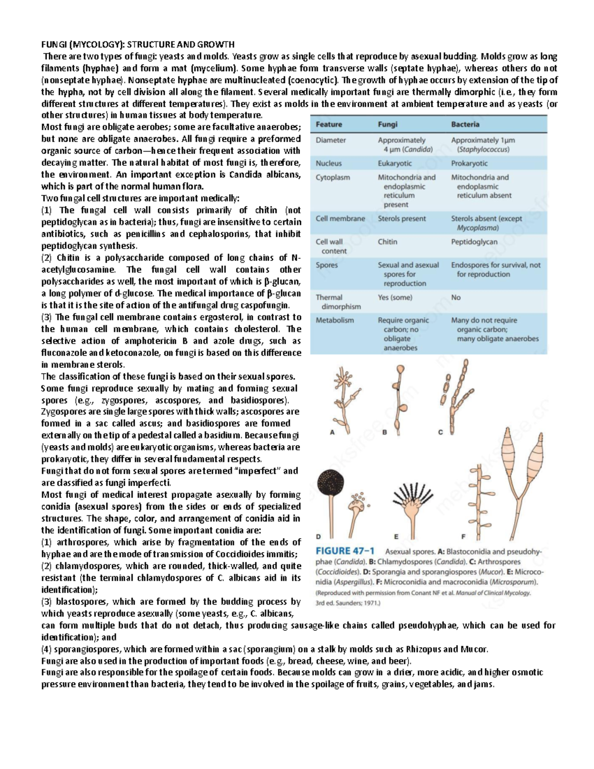 Mycology 1 241113 095210 - FUNGI (MYCOLOGY): STRUCTURE AND GROWTH There ...