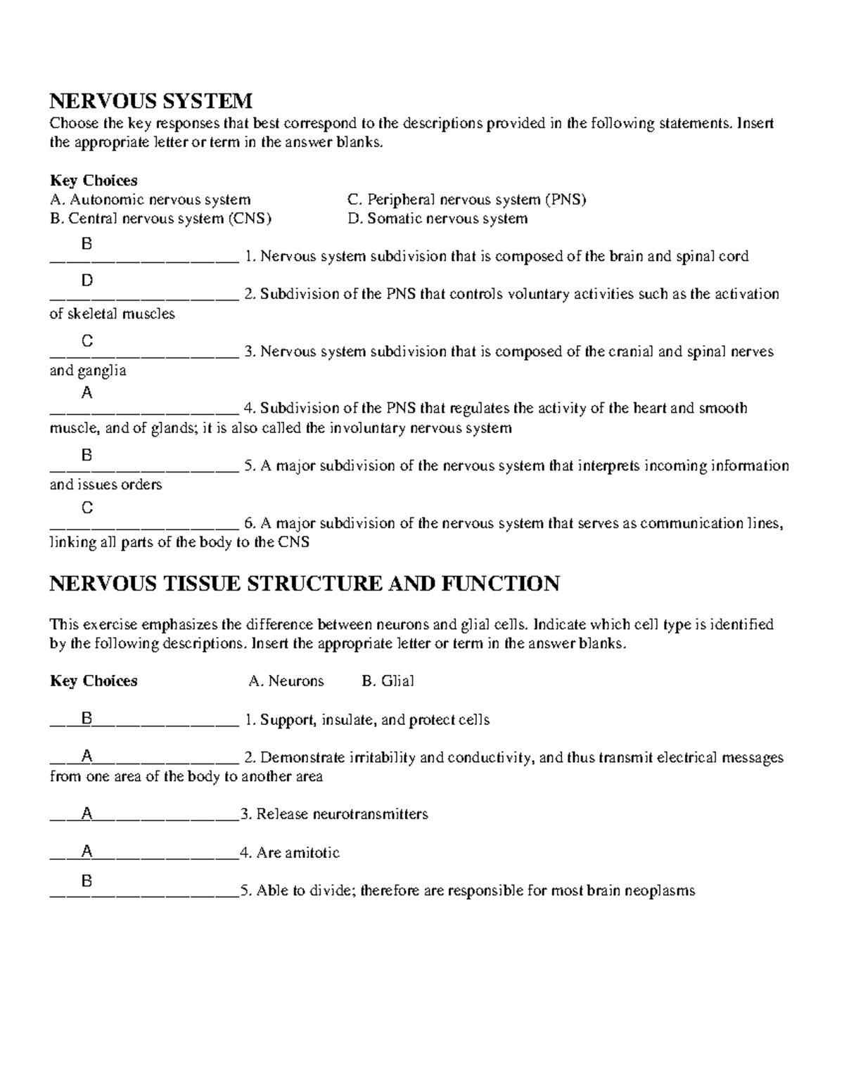 Nervous System Homework Assignment (Biology 101) - Studocu