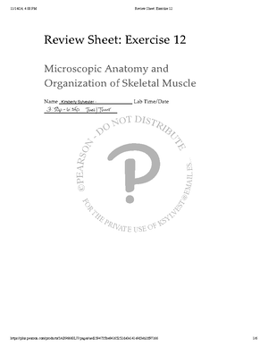 [Solved] Exercise 13 review sheet art labeling activity 2 - Anatomy And Physiology I (BIO 121 ...