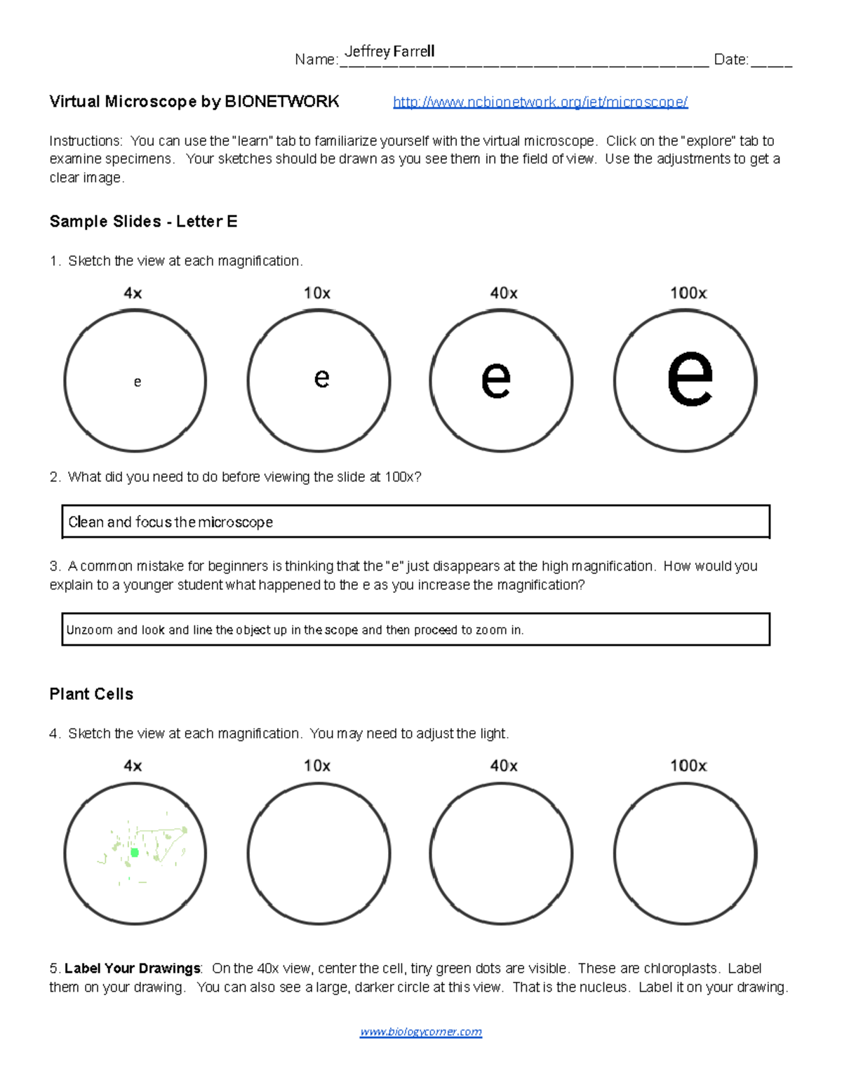 Virtual Microscope Lab Guide for BIONETWORK Activities - Studocu