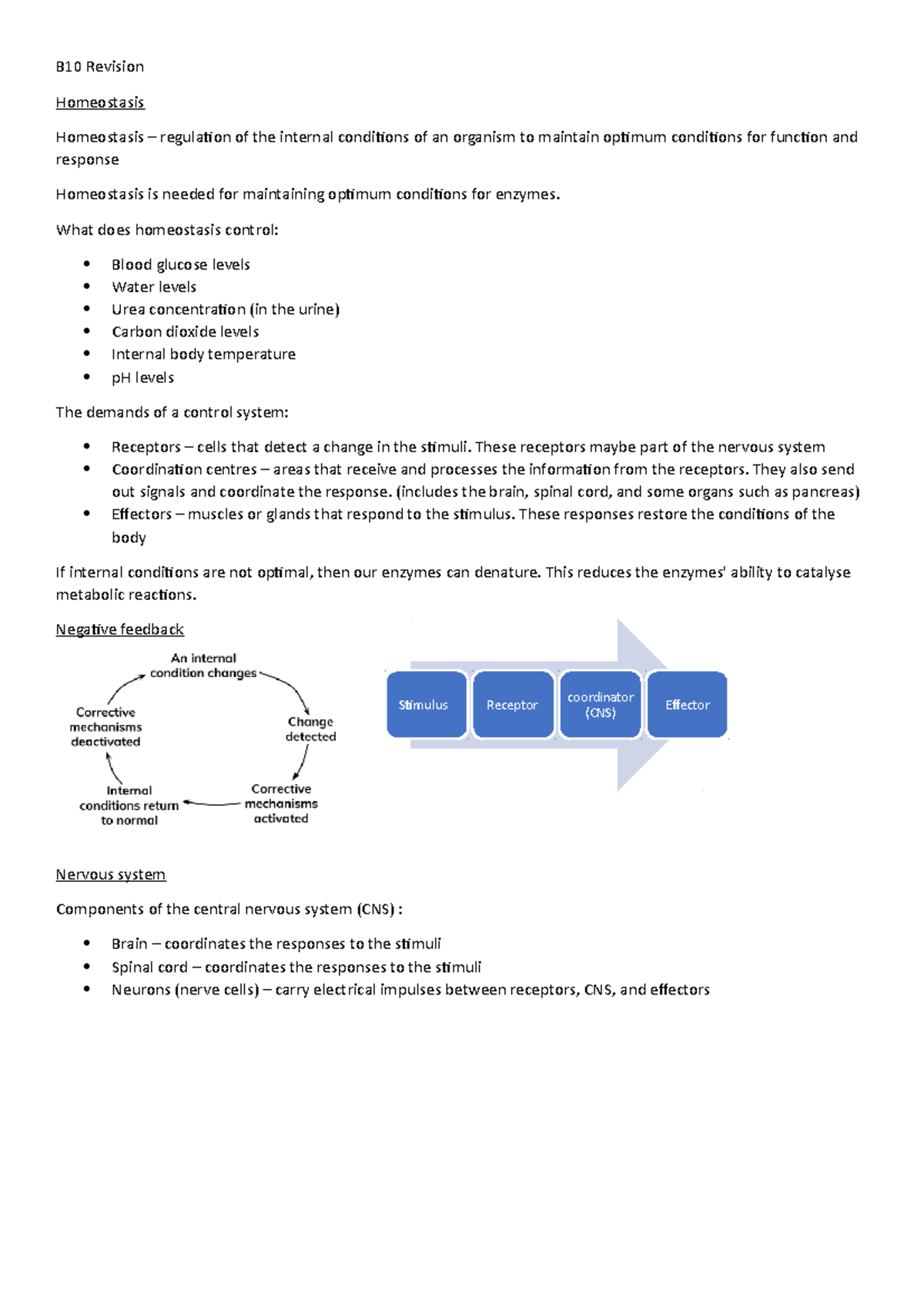 B10 Revision notes - GCSE biology - B10 Revision Homeostasis ...