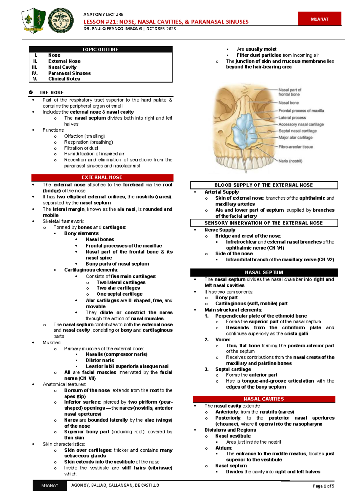 M1ANAT LECTURE NOTES: NOSE, NASAL CAVITIES & SINUSES - Studocu
