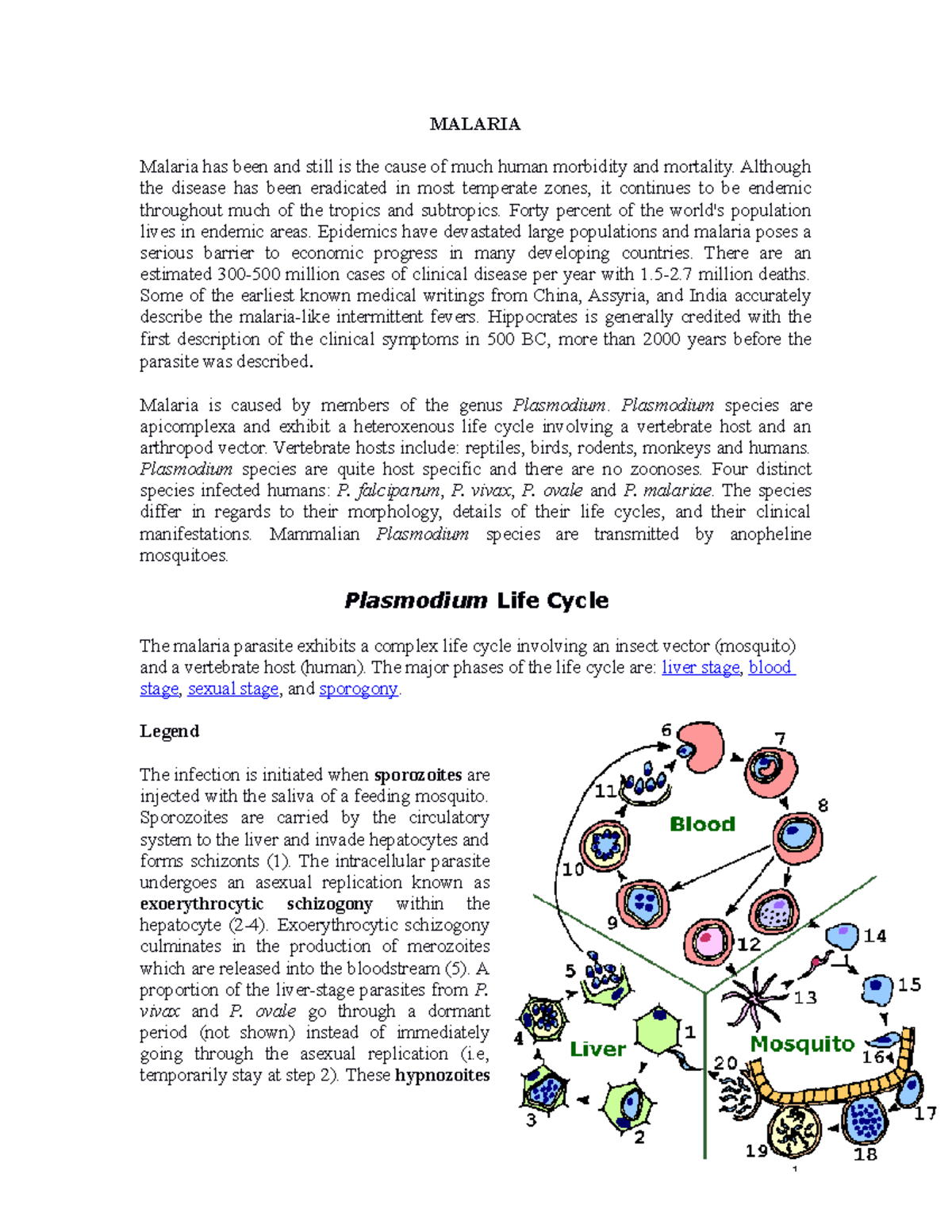 Malaria Overview and Life Cycle: Detailed Study Notes on Parasitology ...
