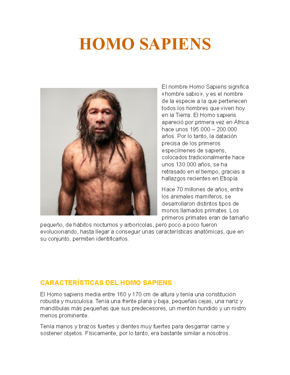 HOMO SAPIENS: Evolución, Características y Herramientas (Apuntes 6 ...