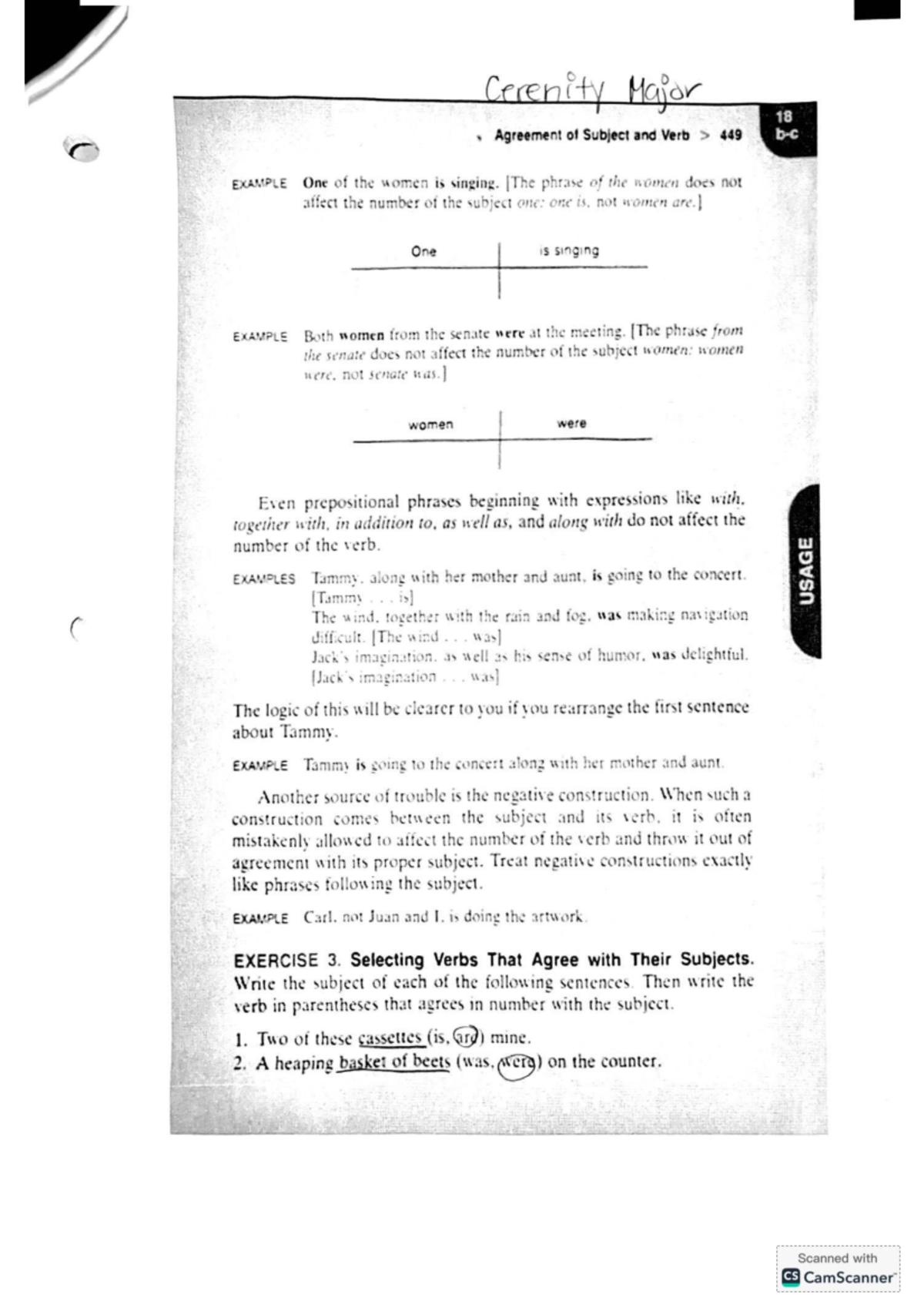 CS 449 Subject-Verb Agreement: Examples and Exercises - Studocu