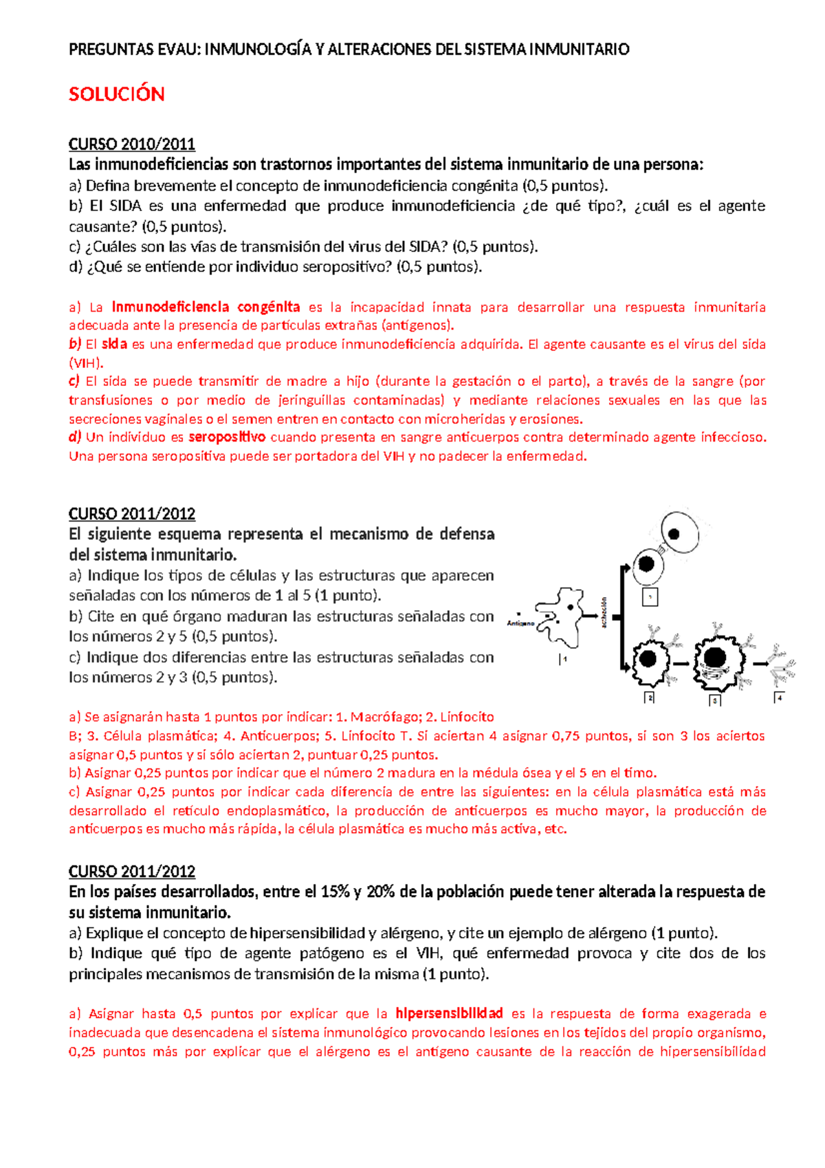 Respuestas De La Hoja De Trabajo Sobre El Sistema Inmunológico