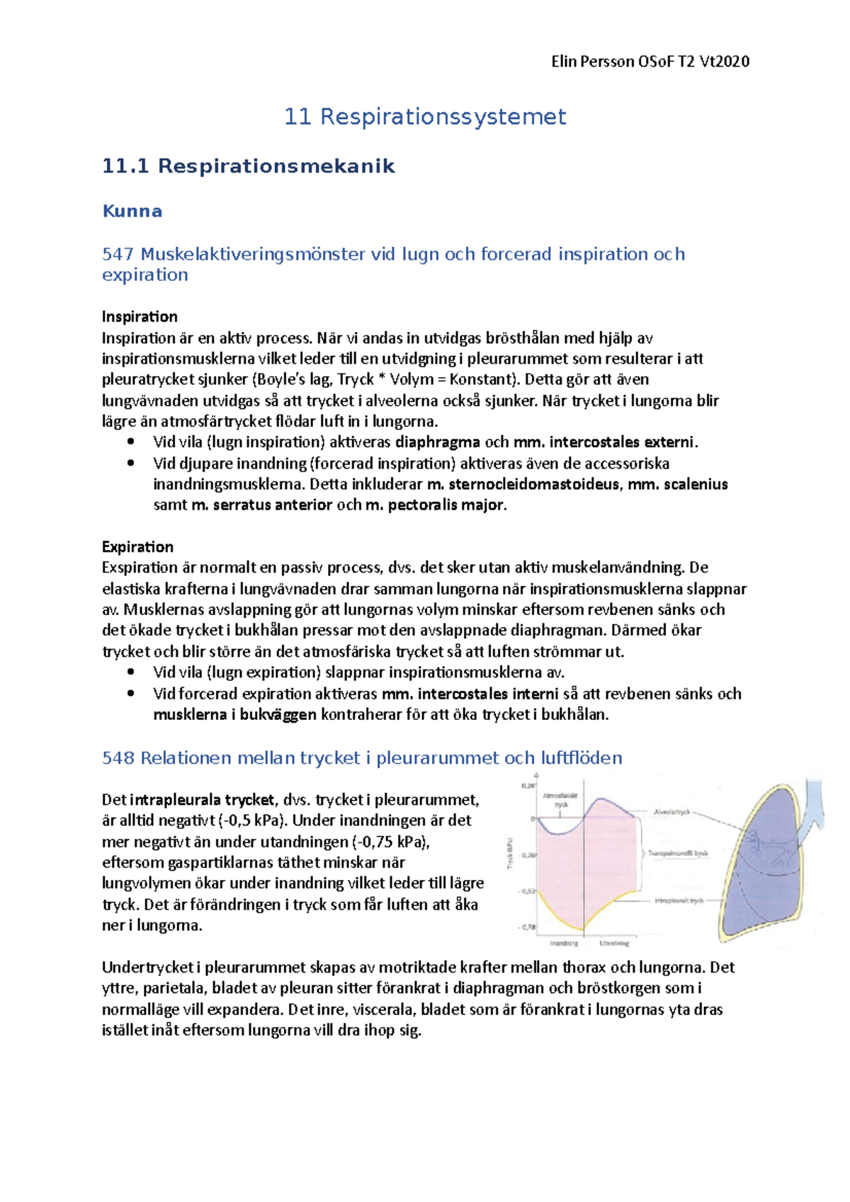 11 Respirationssystemet - 11 Respirationssystemet 11 ...