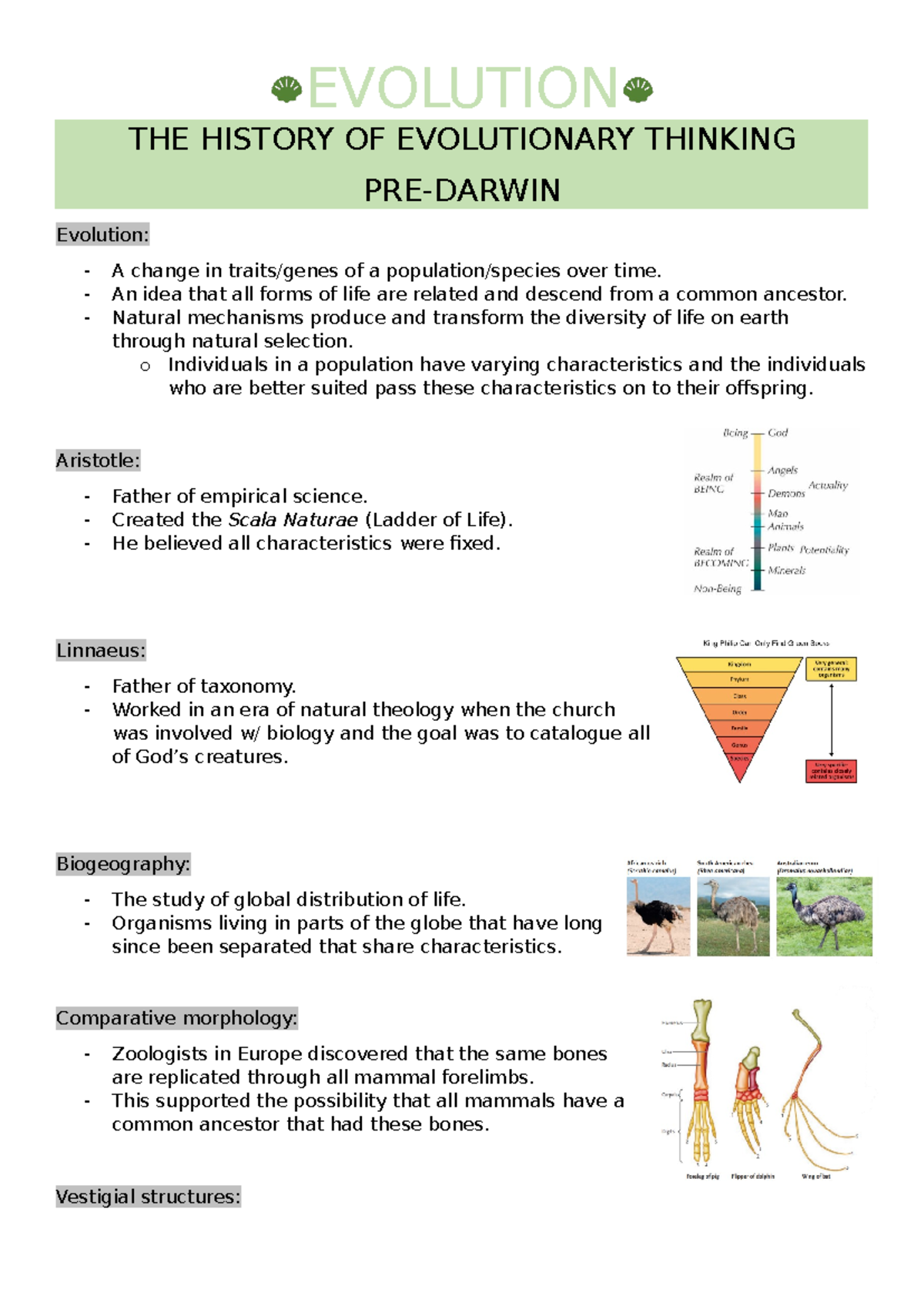 Bio124 - Comprehensive Notes on Evolution and Natural Selection - Studocu