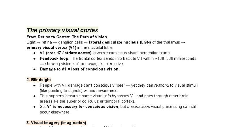 Understanding Visual Processing Pathways and Functions (PSY 101) - Studocu