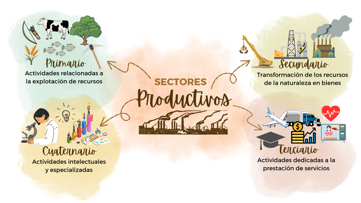Mapa mental de los sectores productivos - Estructura económica del ...