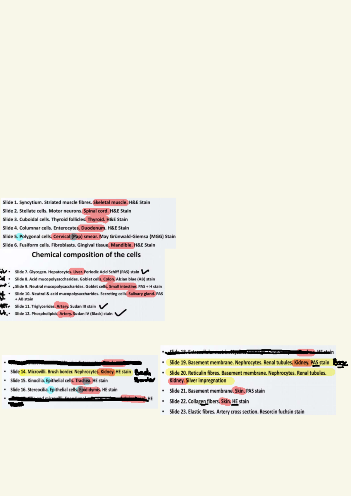 CELL Biology PA 3 - Skeletal Muscle and Organ Structure Notes - Studocu