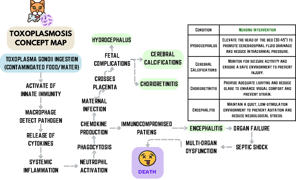 TOXOPLASMOSIS CONCEPT MAP: HYDROCEPHALUS & NEUROLOGICAL COMPLICATIONS ...