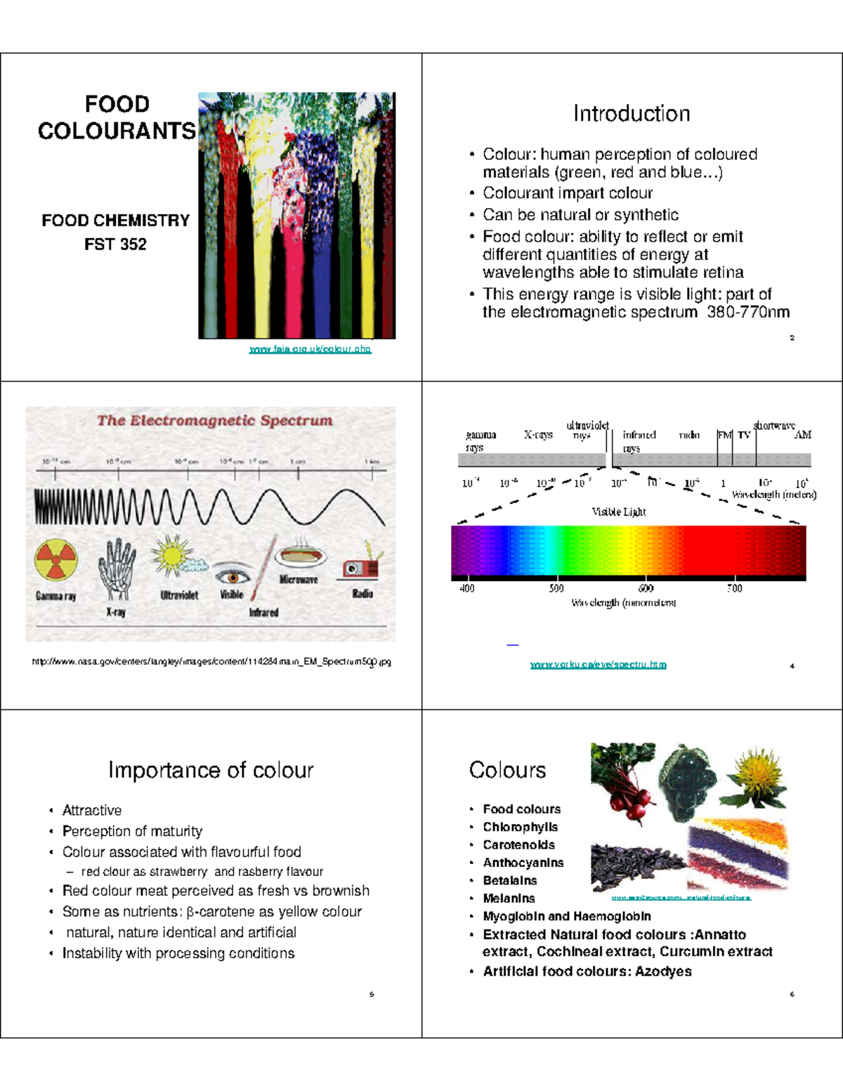FOOD COLOURANTS Overview in FOOD CHEMISTRY FST 352 - Studocu