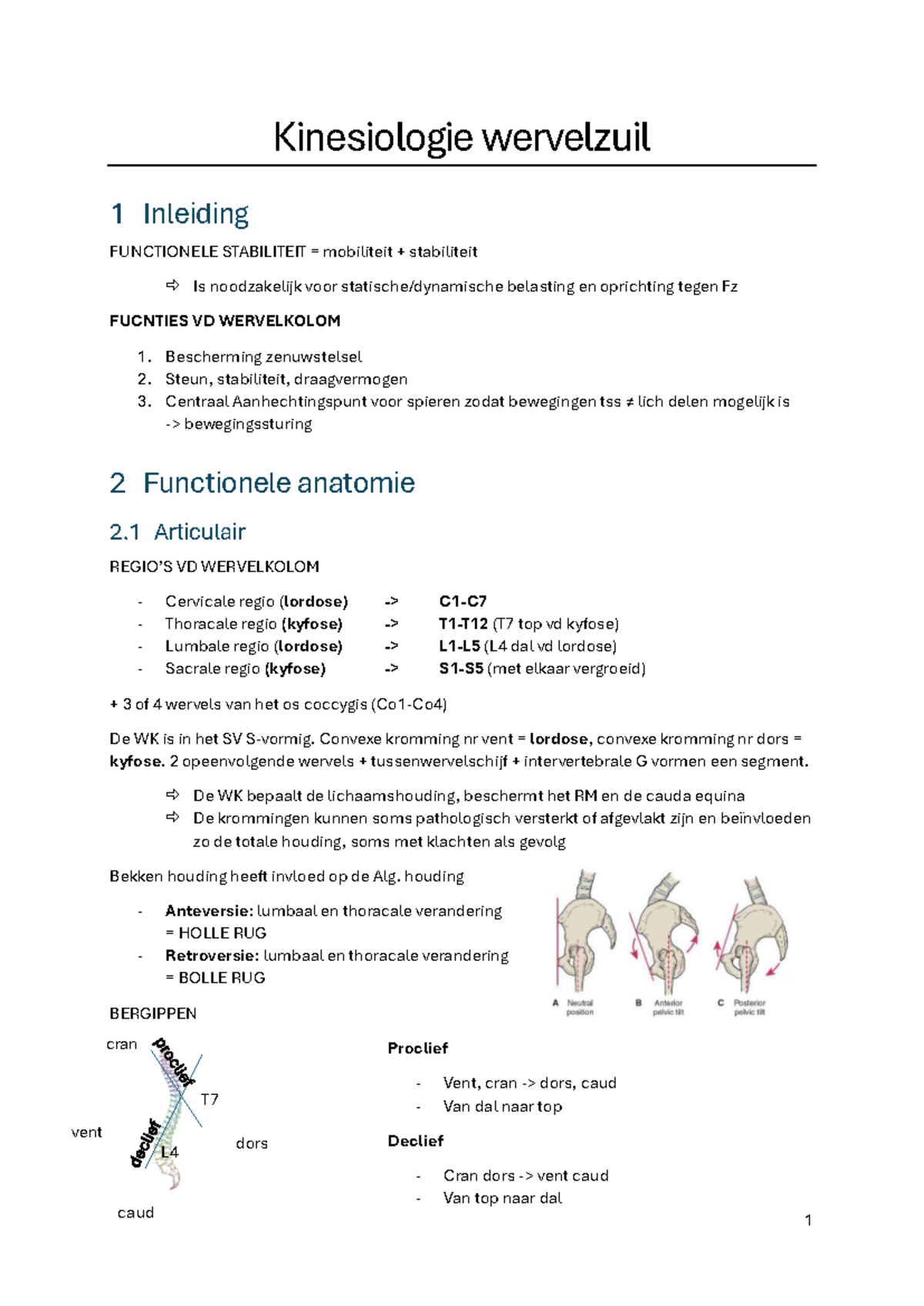 KO Kinesiologie Wervelzuil: Theorie Samenvatting en Anatomie Overzicht ...