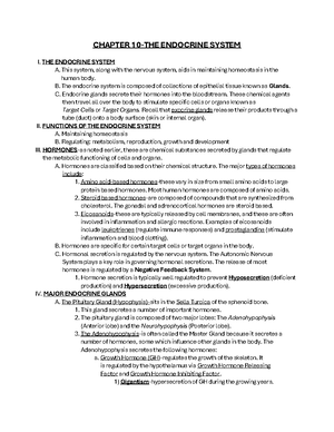 Neuroscience Concepts: Anatomy and Physiology of Nerve Tissue (BIO101) - CHAPTER 8 - THE NERVOUS ...