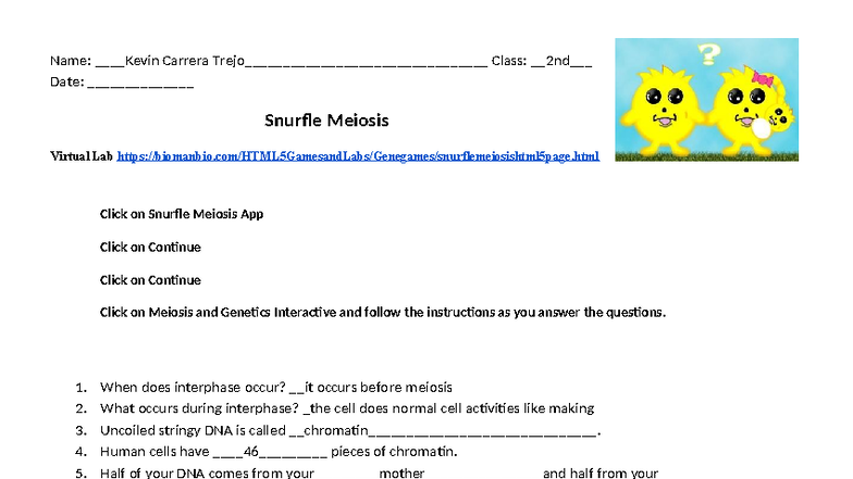 Snurfle Meiosis Virtual Lab Worksheet (WS) - Studocu