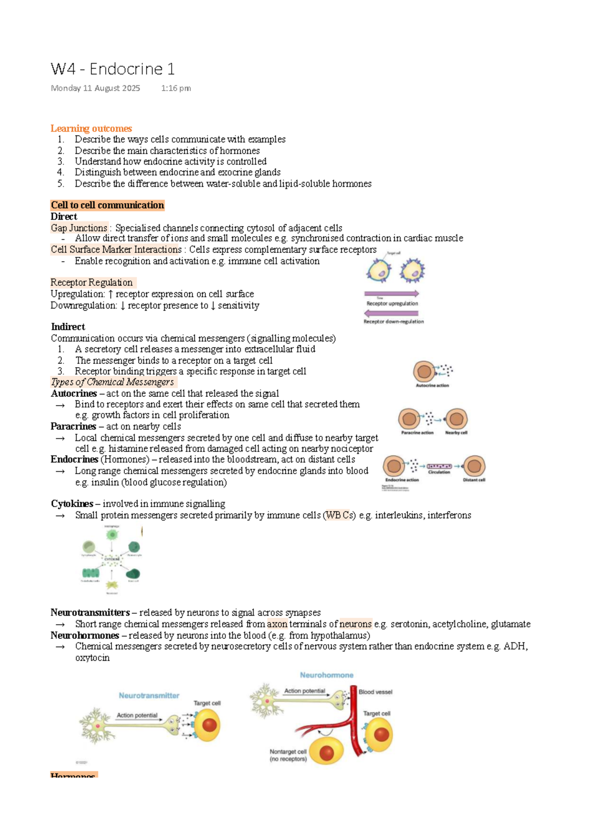 W4 - Endocrine System Overview and Key Concepts - Studocu