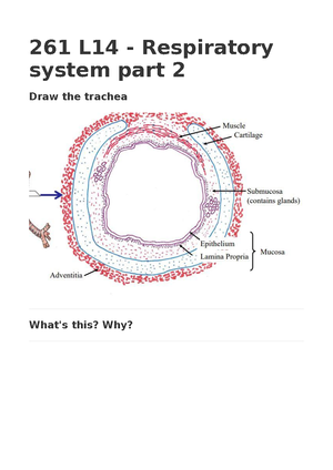 Histology Term Cheat Sheet - LECTURE 1: Difference between structure ...