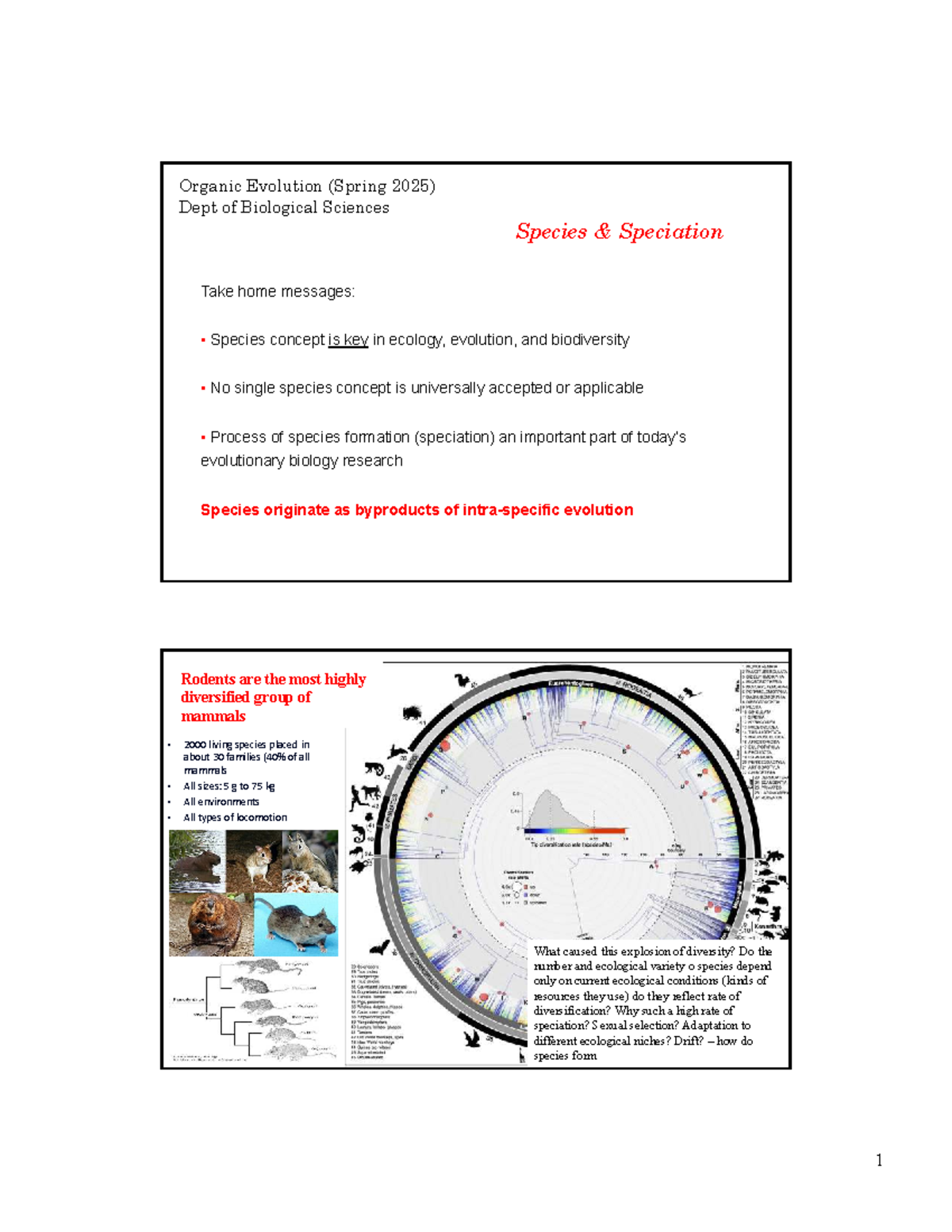 Organic Evolution: Species & Speciation - Spring 2025 Lecture Notes ...