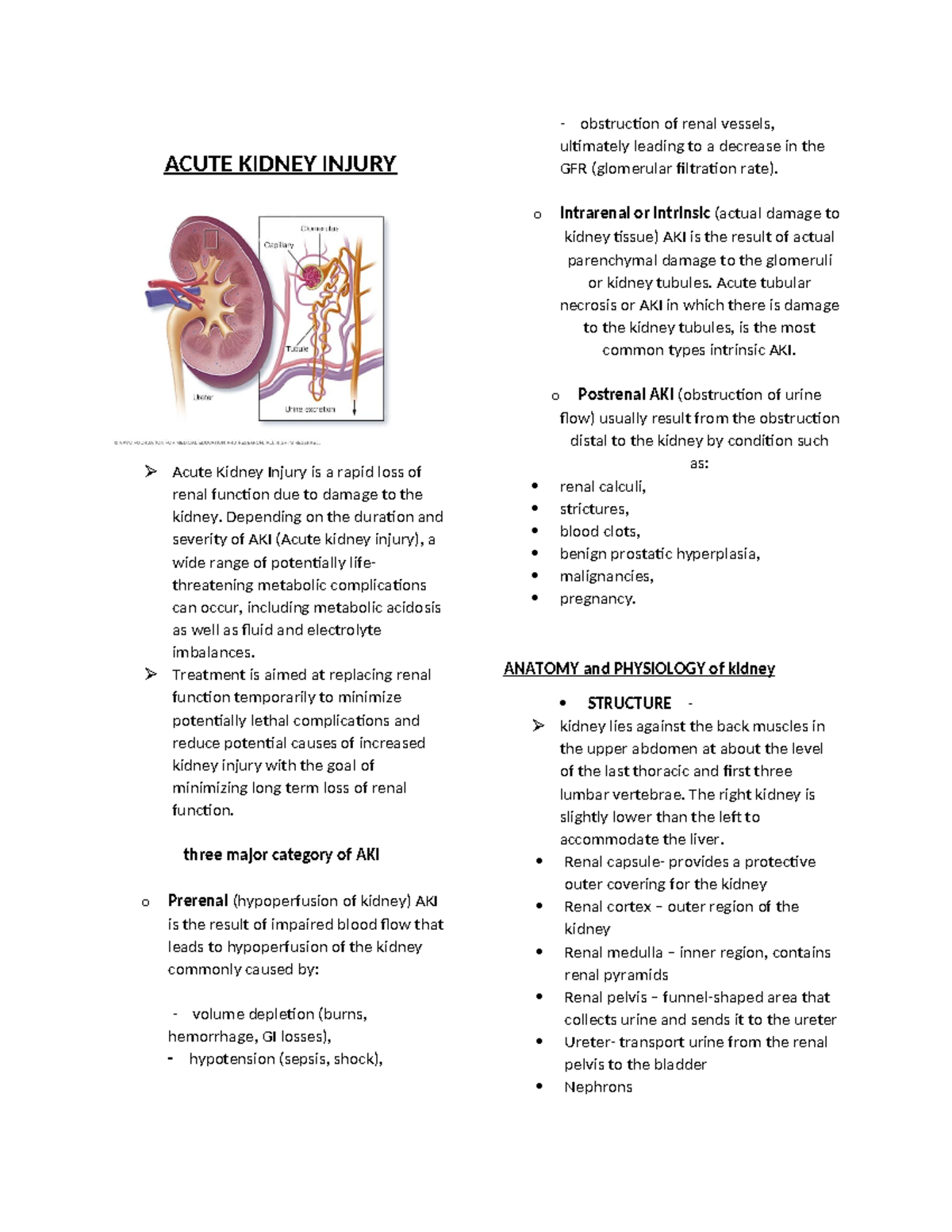 ACUTE KIDNEY INJURY: Understanding Causes, Symptoms, and Management ...