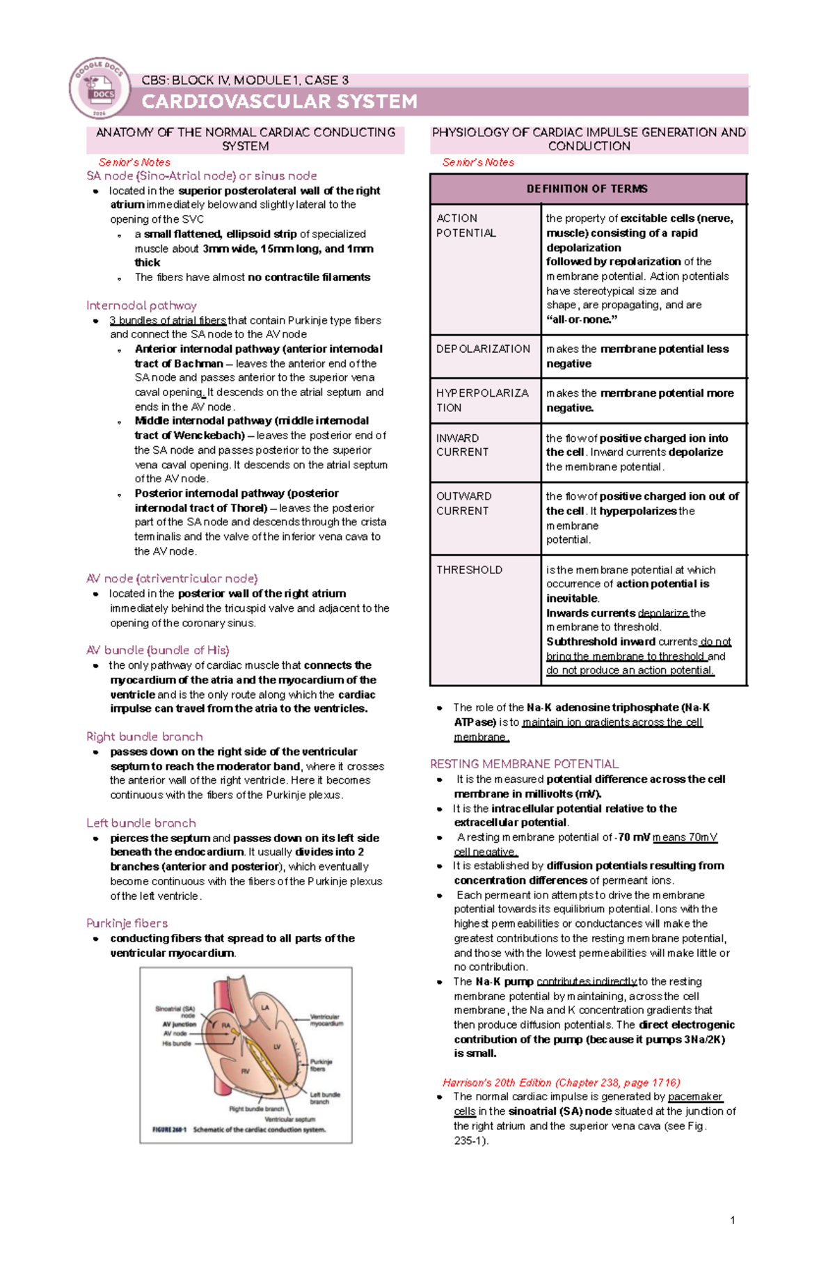 C3: Case Study on Normal Cardiac Conducting System Anatomy and ...