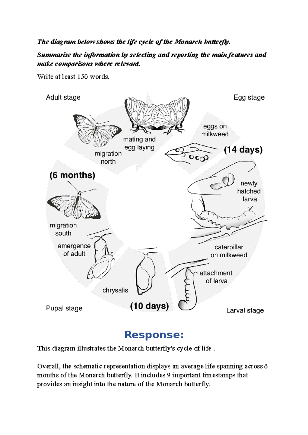Task 1 - Life Cycle of the Monarch Butterfly Summary - Studocu