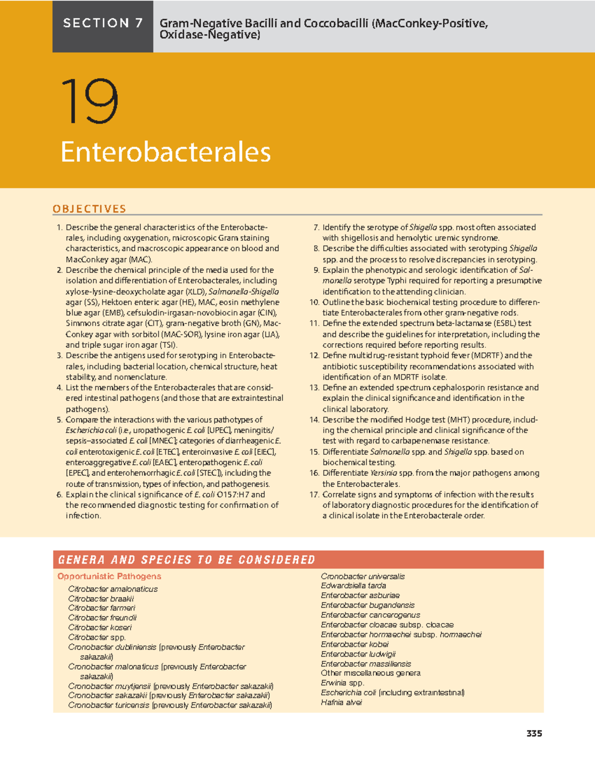 Chapter 19: Enterobacterales Overview and Pathogenicity (Bacte Ref ...
