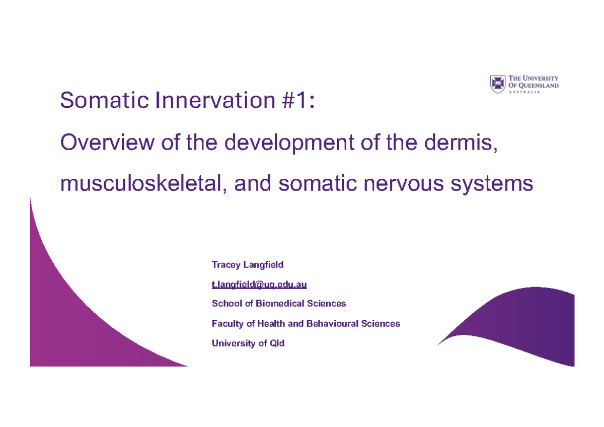 Somatic Innervation Overview: Development of Dermis & Musculoskeletal ...