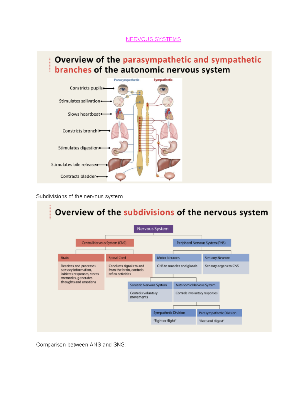Lecture Notes on Nervous System Structure & Functions (Unit 5) - Studocu