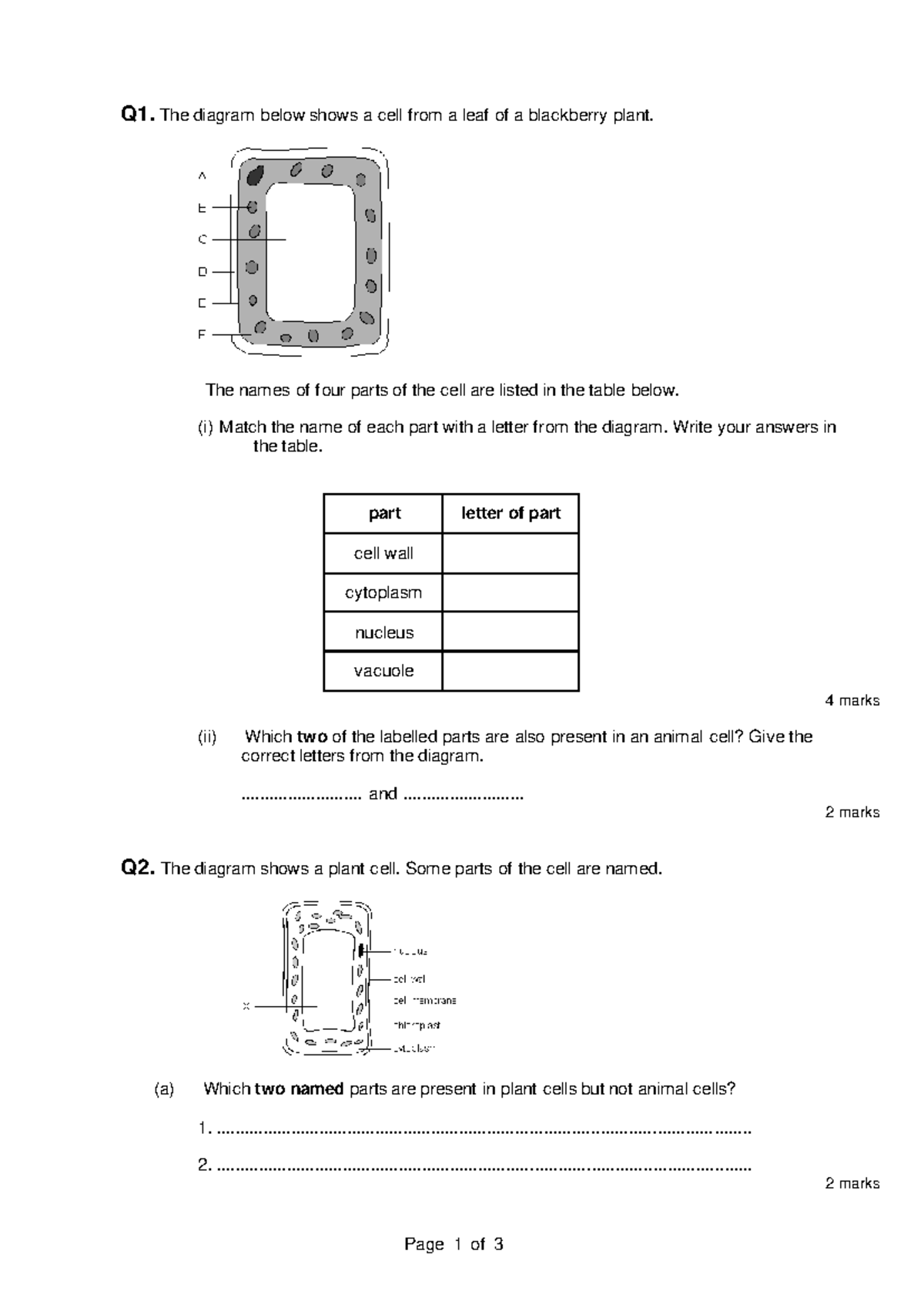 Request - questions on plant cells for year 7s - Page 1 of 3 Q1. The ...