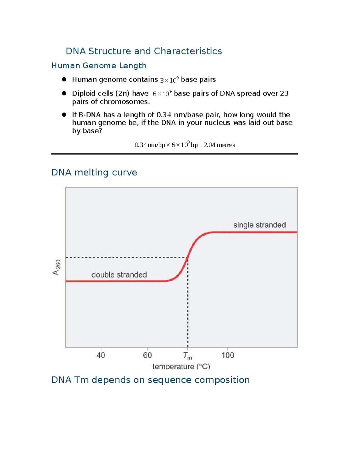 Biocc 0001 lecture 3: Overview of DNA structure and replication ...