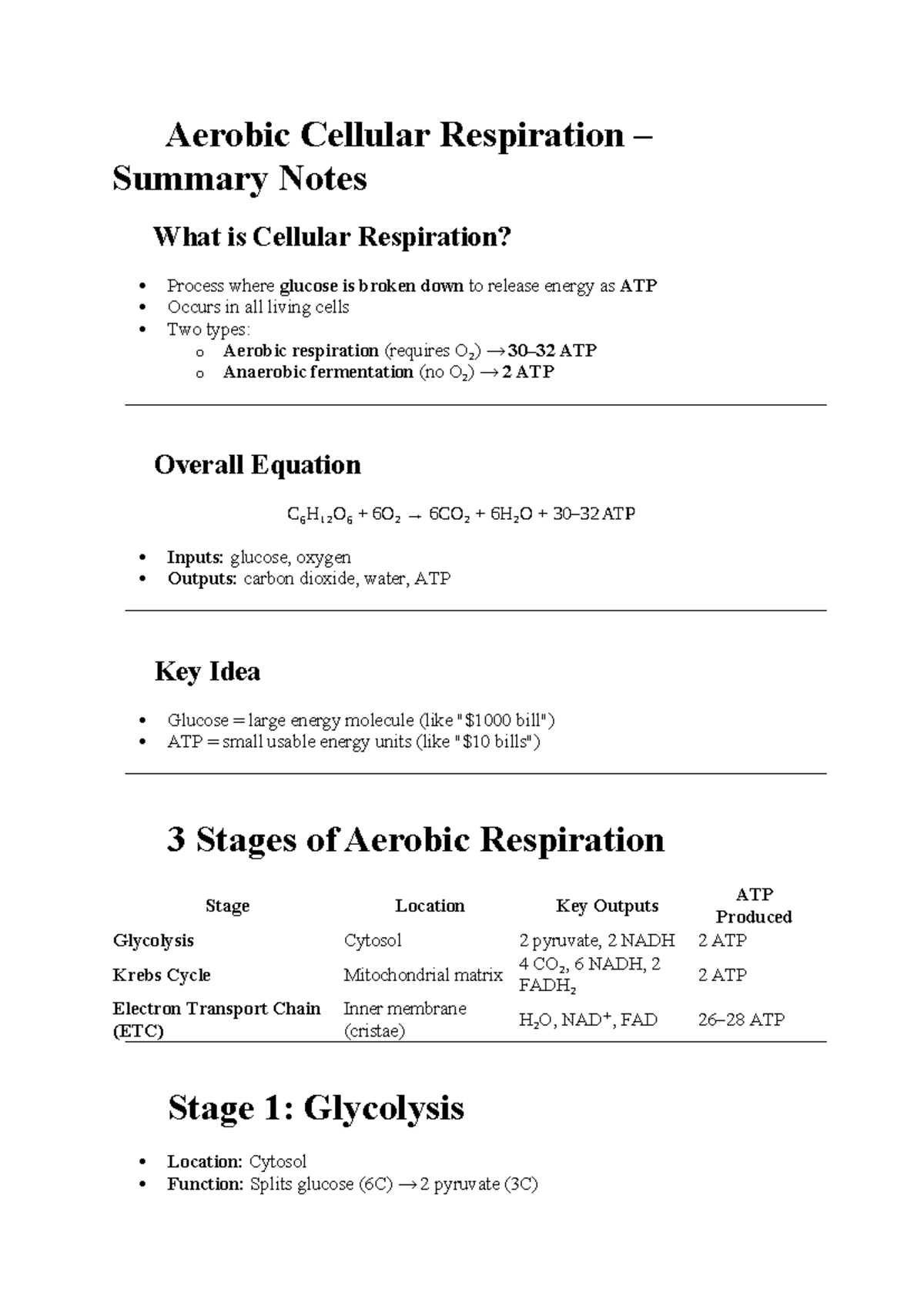 6A Aerobic Cellular Respiration Study Notes Summary - Studocu