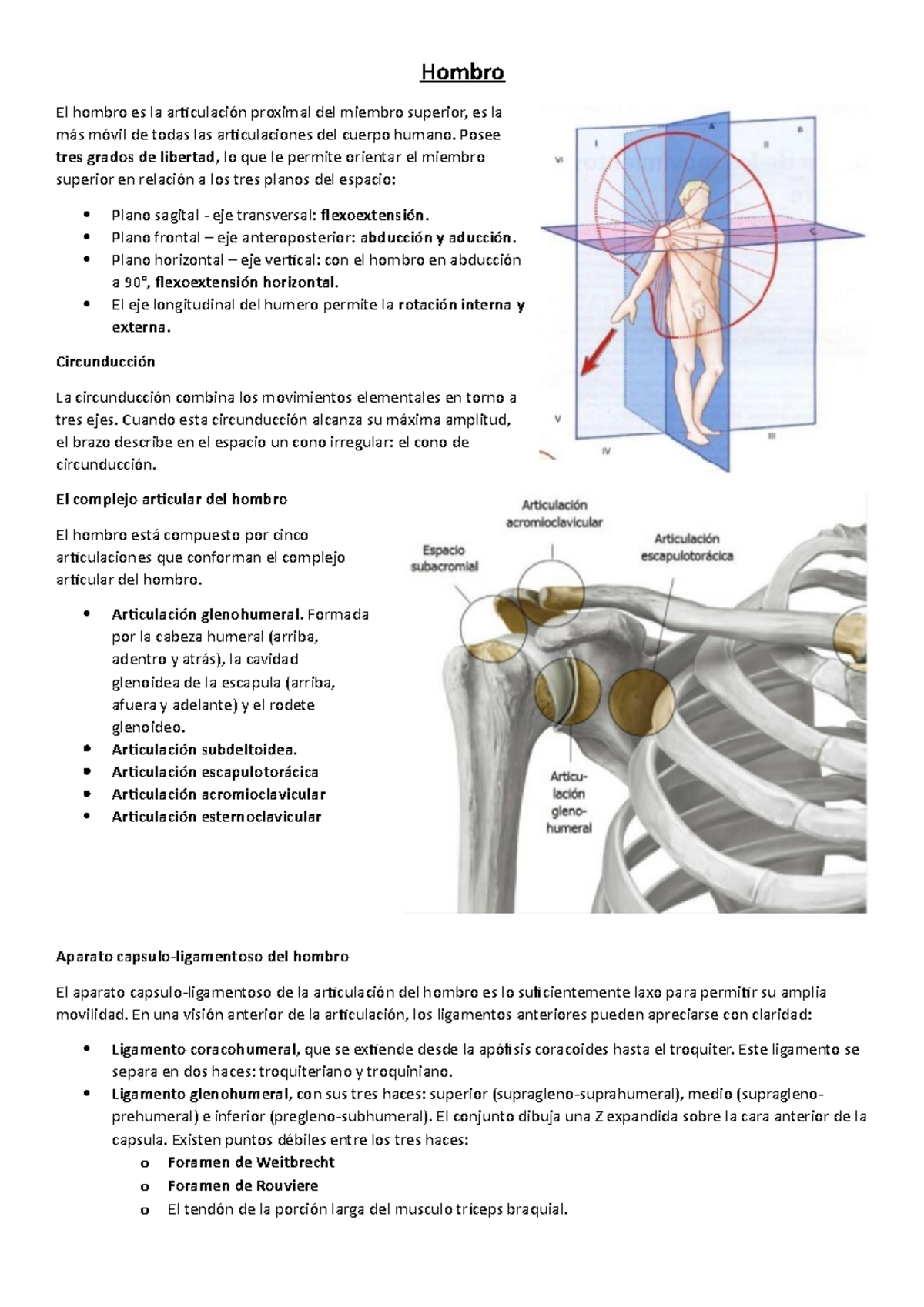 Analisis De Movimiento Flexion De Hombro Exploración Y Localización