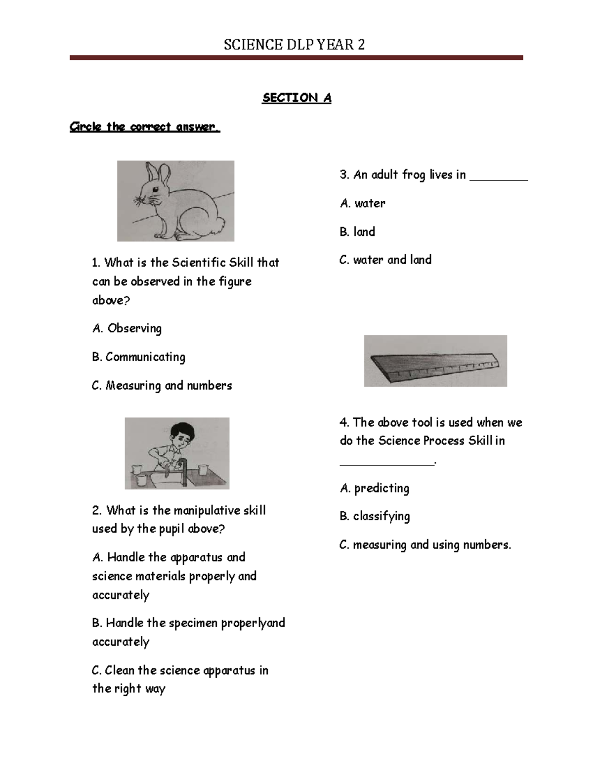 SCIENCE DLP YEAR 2 - Quiz on Scientific Skills and Animal Reproduction ...