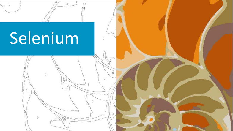 Practical Report on Selenium: Importance and Food Sources - Studocu