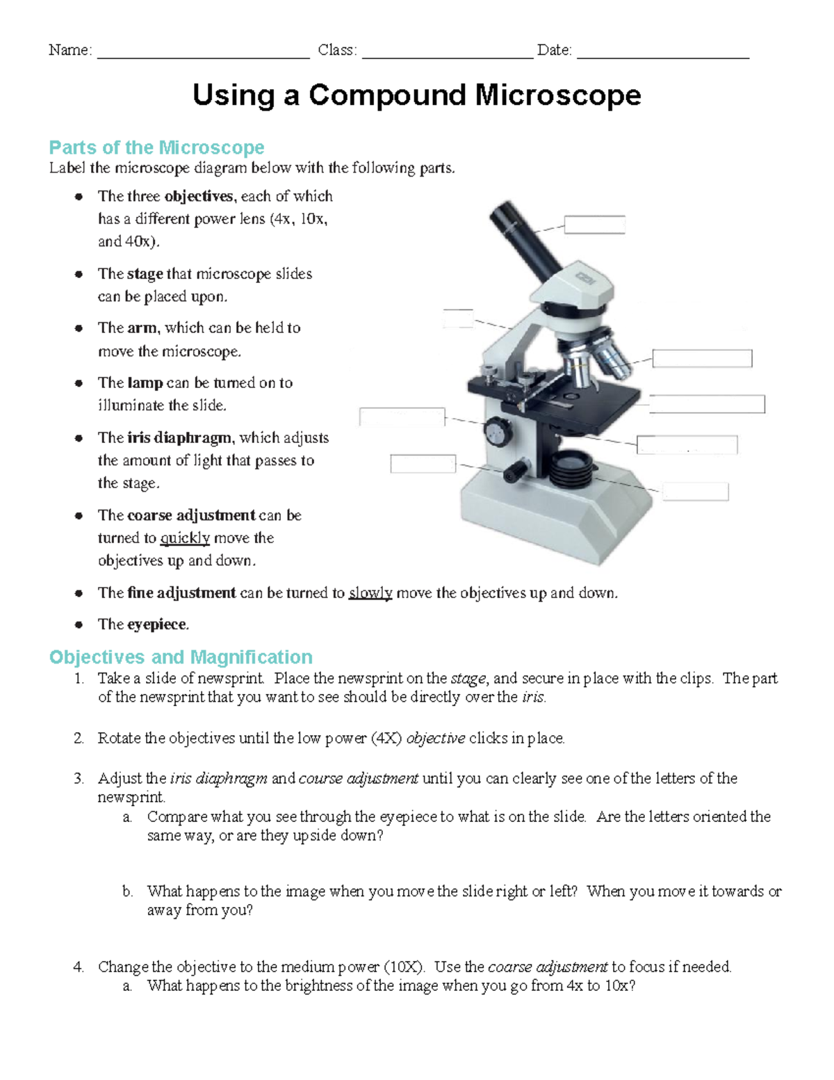 Using a Compound Microscope Lab - Name ...