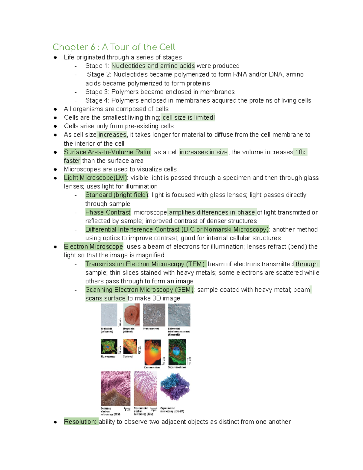 BIO 1010 Exam 2 Study Notes: A Deep Dive into Cell Biology - Studocu