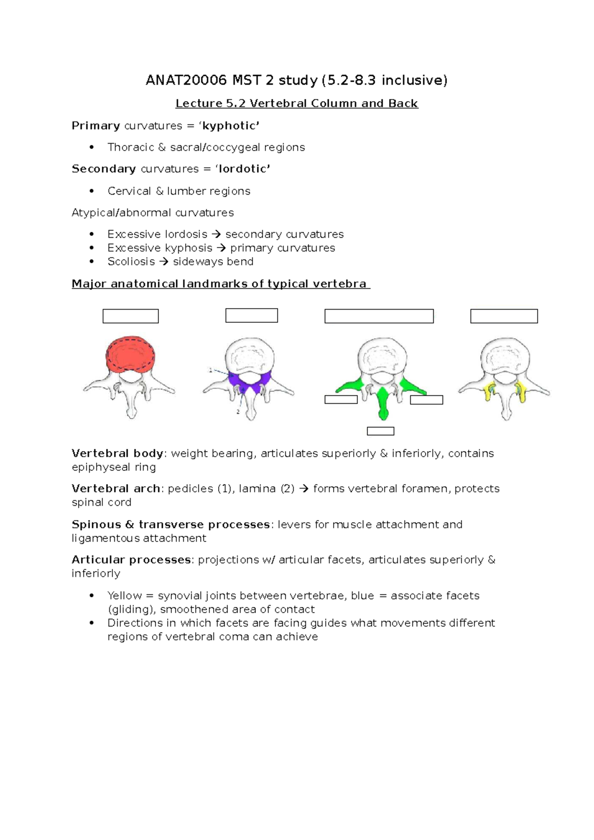 ANAT20006 Week 5 & 6 Study Summary: Vertebral Column & Upper Limb - Studocu