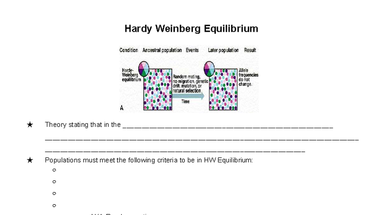 Student Notes - Hardy Weinberg Equilibrium (BIO 101) - Studocu