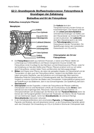 Q1 Bio - Genetik - LK Biologie Klausur Nr. 1 - Genetik Aufbau der DNA ...