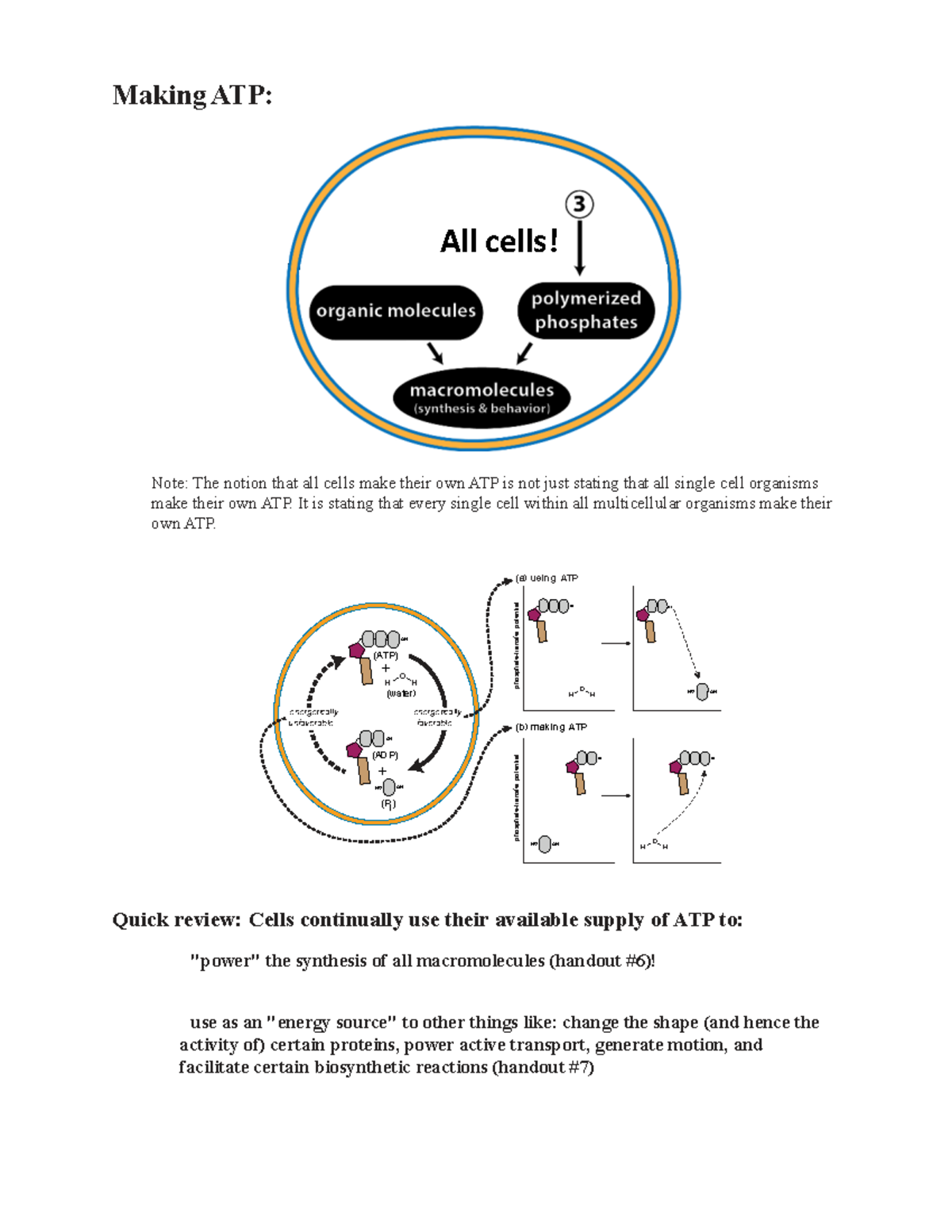 ATP Production in All Cells: Mechanisms and Processes (BIO 101) - Studocu