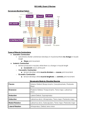 Anatomy Exam 2 Study Guide: Bone and Nervous Tissue Overview - Bone ...