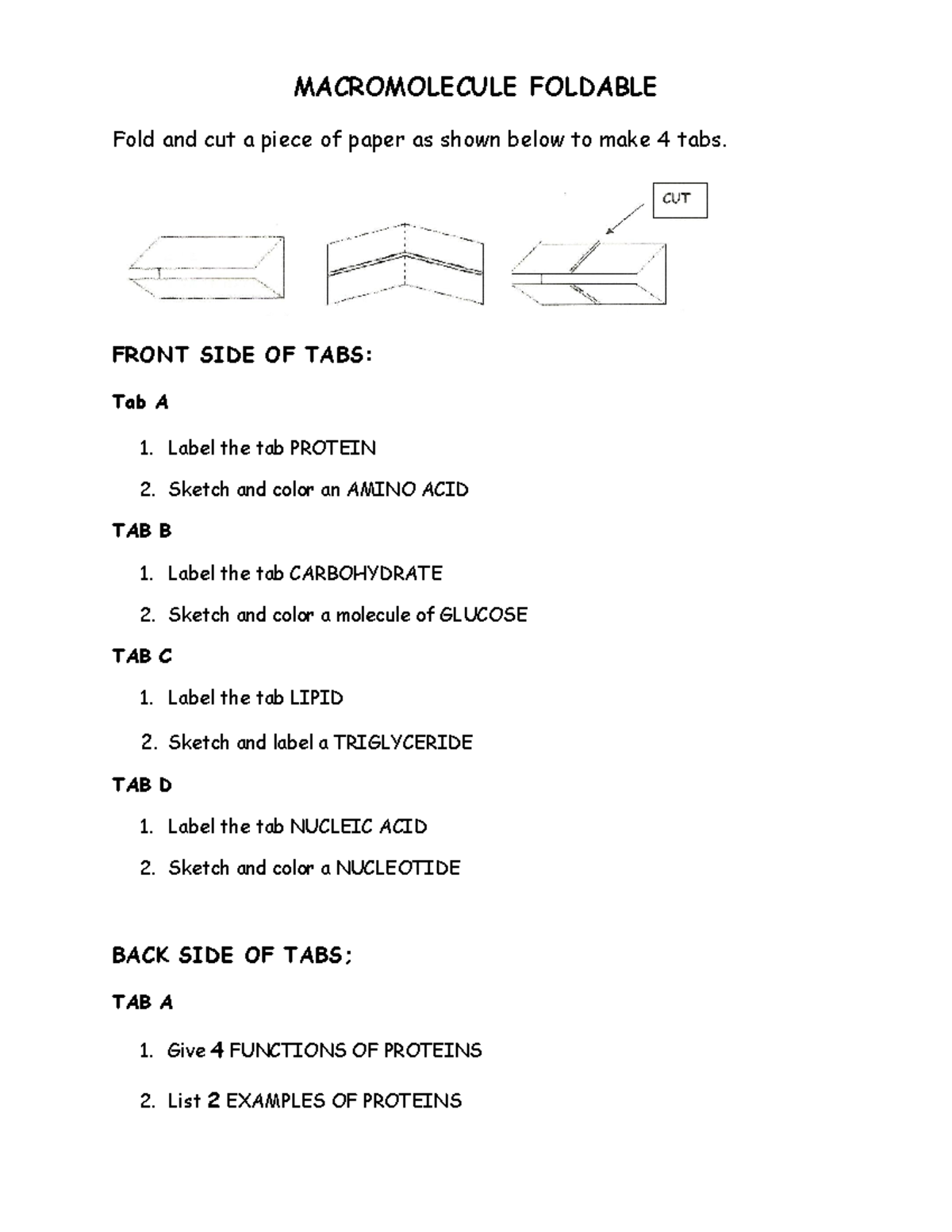 Macromolecule foldable - MACROMOLECULE FOLDABLE Fold and cut a piece of ...