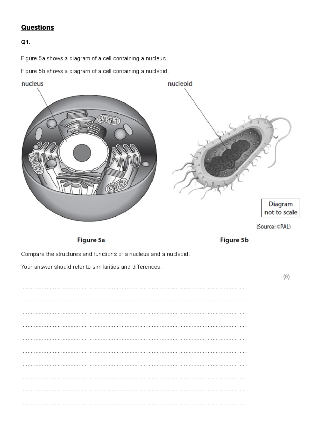 Biology 101: 6 Mark Exam Practice on Cell Structures & Functions - Studocu