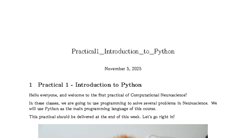 python-12345678 - Practical1_Introduction_to_Python November 5, 2025 1 Practical 1 ...