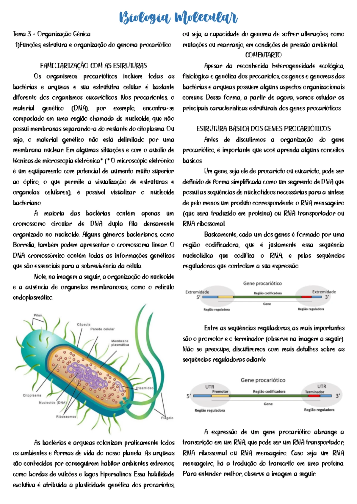 Biologia Molecular - TEMA 2: Estruturas e Funções do DNA e RNA - Studocu