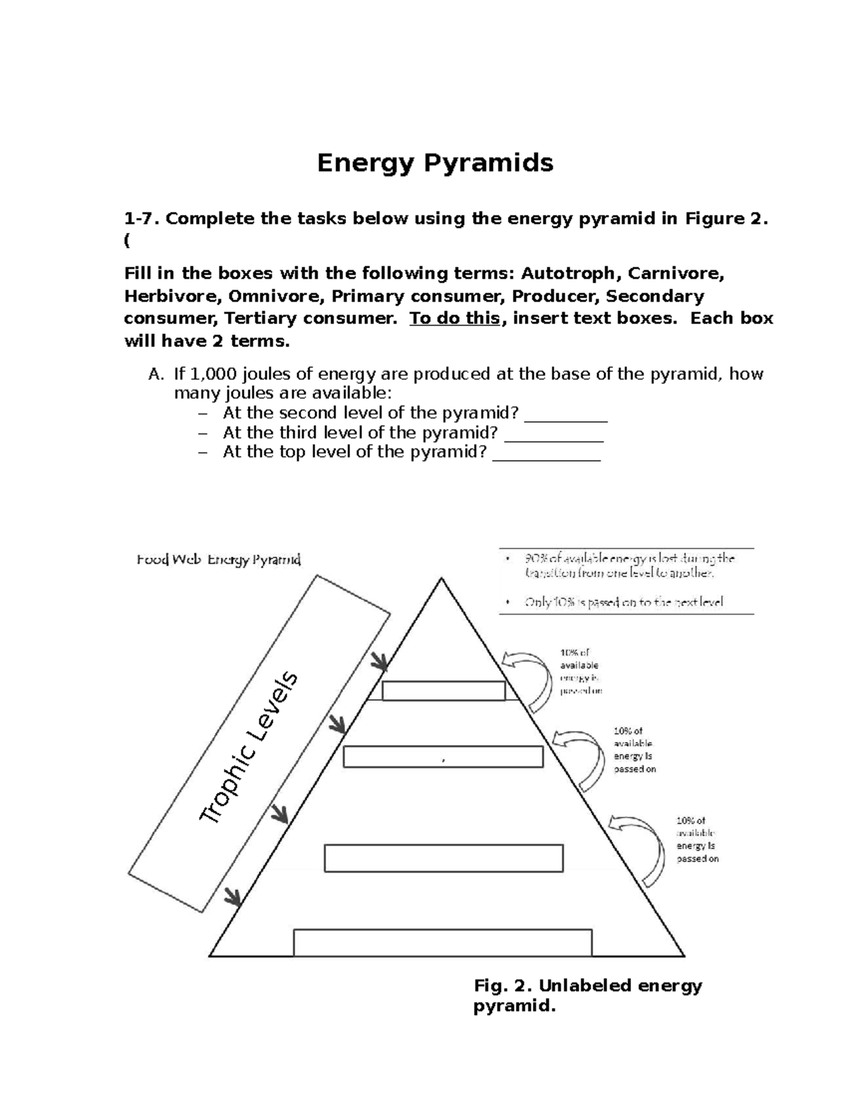 Energy Pyramids and Trophic Levels - Biology 101 Worksheet - Energy ...
